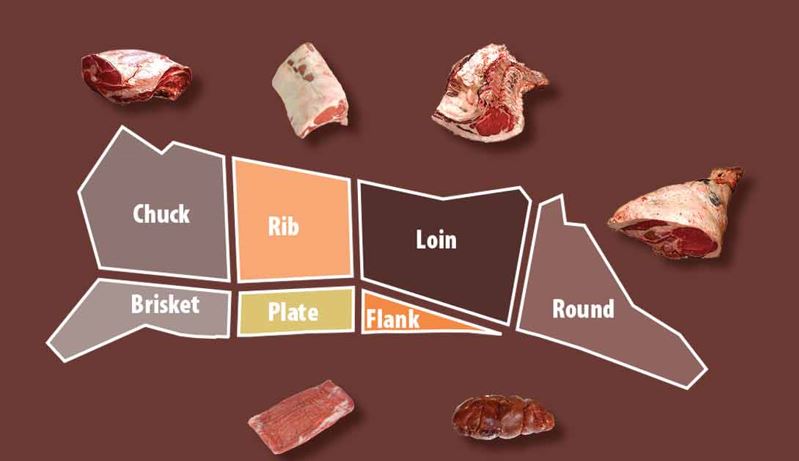 Top 10 Most Tender Muscles In The Beef Carcass
