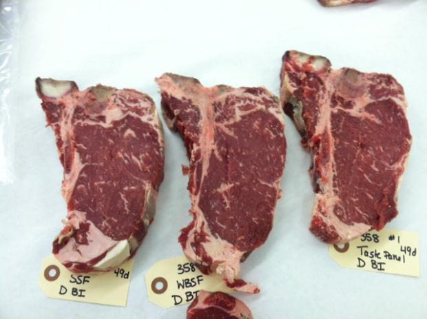 Effects of Post Mortem Aging Time and Type on Quality