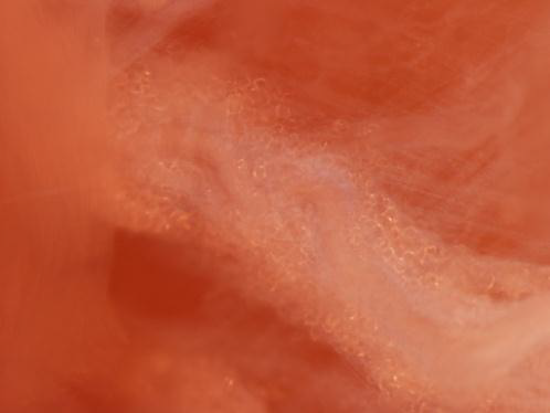 Physiological Mechanisms Regulating Development of Marbling