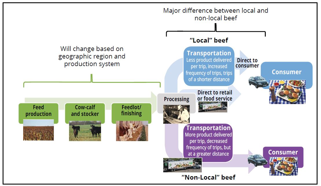 Is Local Beef More Sustainable
