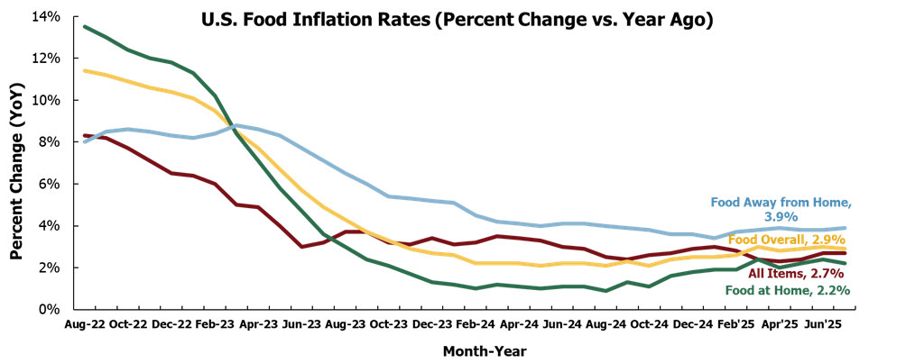 Today's Beef Consumer Summer 2025 Update