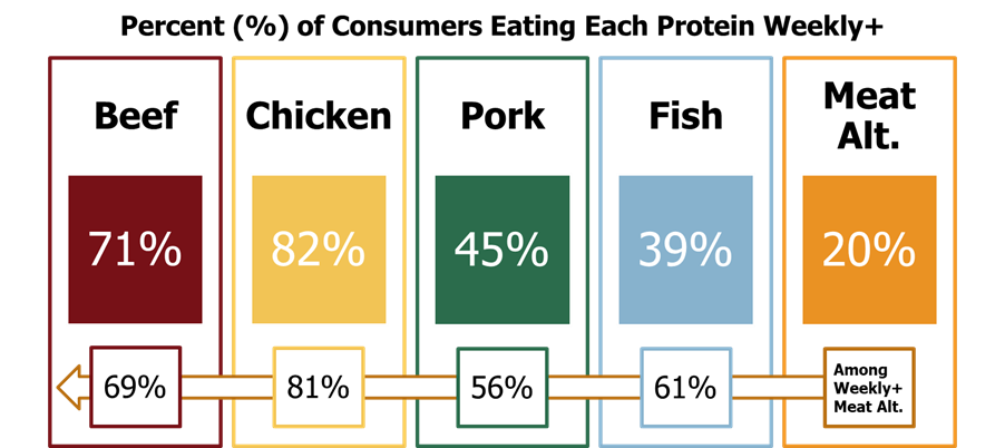 Today's Beef Consumer Summer 2025 Update
