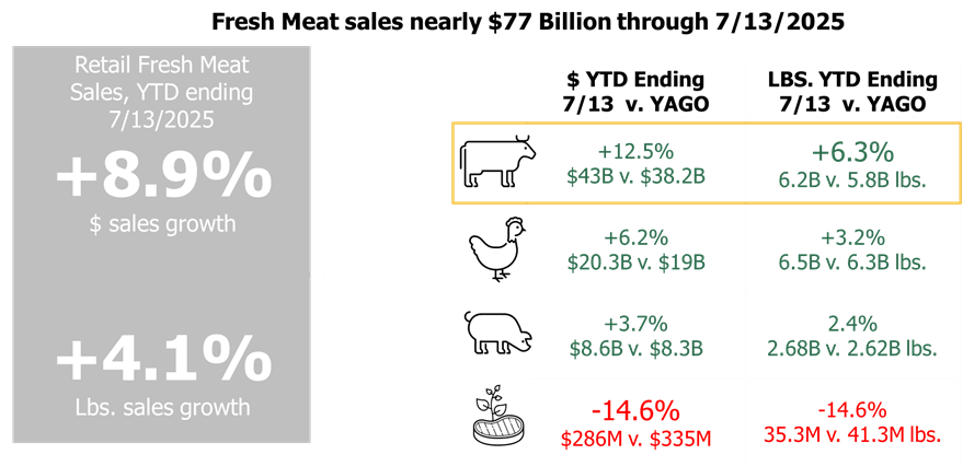 Today's Beef Consumer Summer 2025 Update
