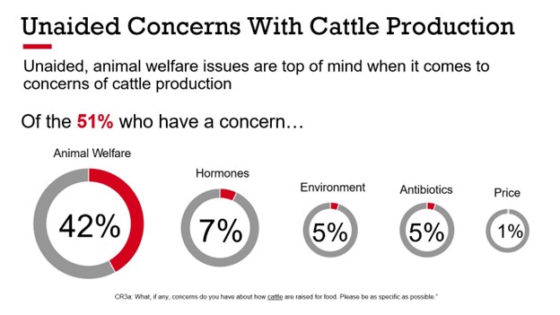 Today's Beef Consumer - 2022