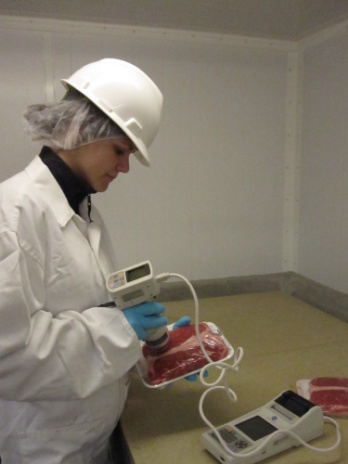 Low Fat Wet Distillers Grains and Beef Quality