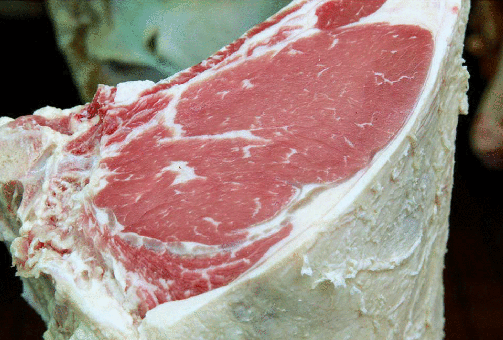 Development of Pictorial Color Guide