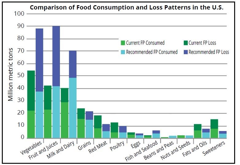 Food Waste Graph
